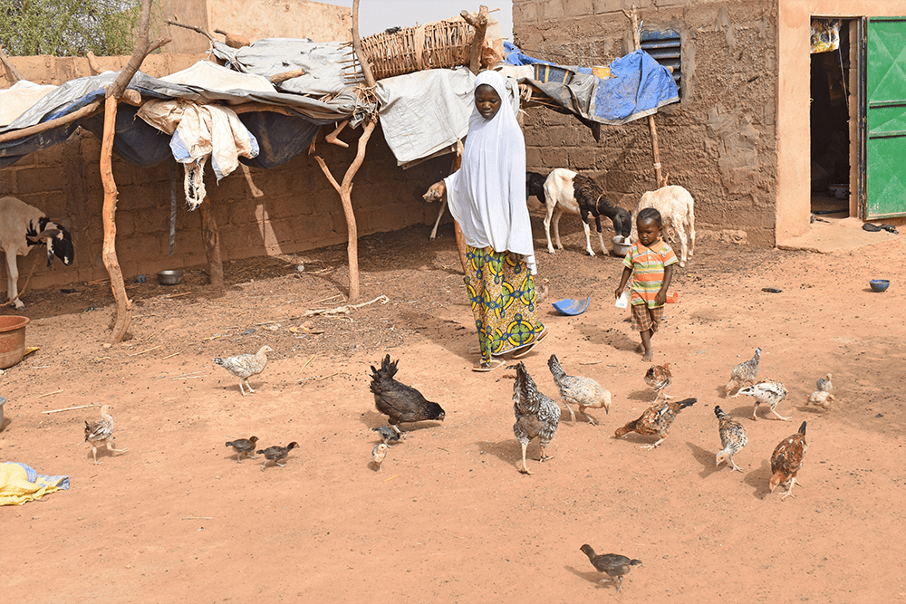 How Sustainable Animal Agriculture Helps Girls in Low-income ...