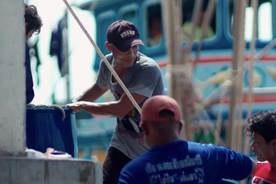 FAIR Fish: Reducing Exploitation in the Seafood Processing Sector ...