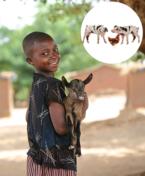 2 Hens and 2 Piglets + a Pair of Goats | Plan International USA
