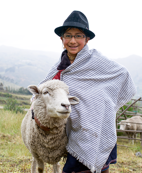 1 Sheep | Plan International USA